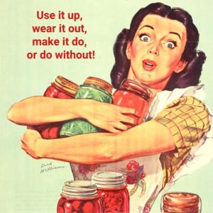 Use It Up, Wear It Out - Eliza Cross